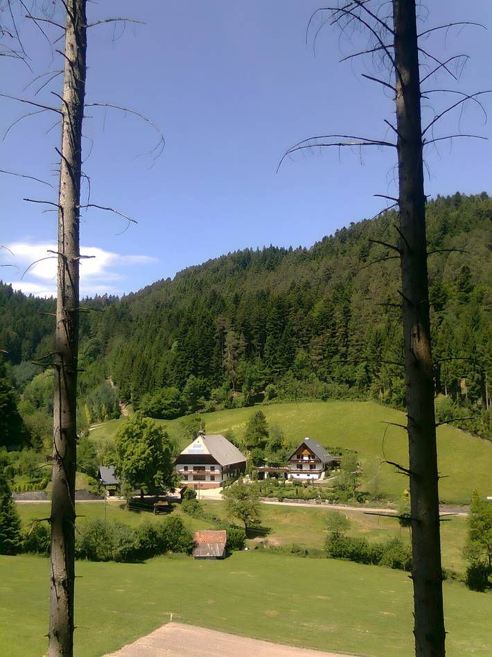 Apartment '80 Sqm' With Mountain View, Private Terrace And Wi-fi - Hornberg