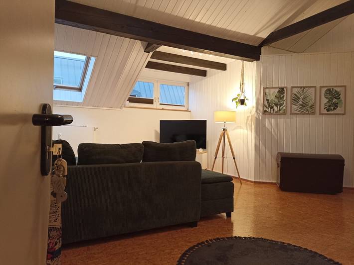 Apartment 'Stadt-Loft' mit privater Terrasse, Wlan und Klimaanlage
